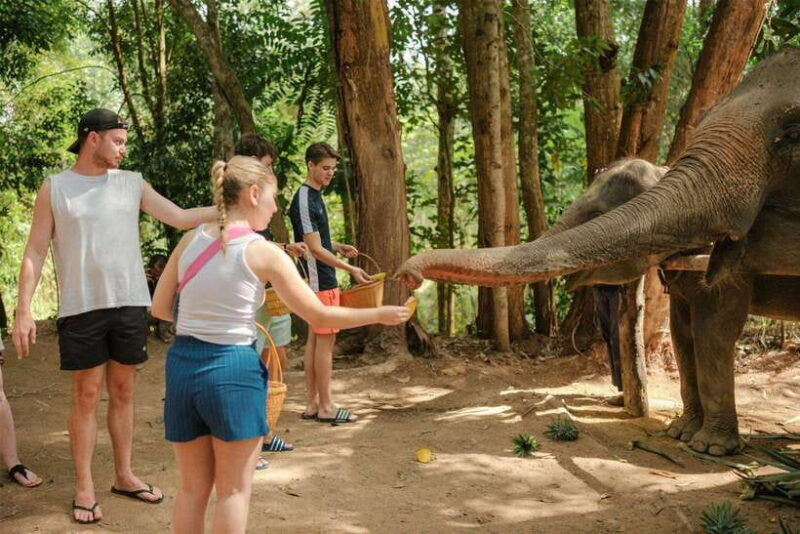 Krabi: Elephant Sanctuary (near Ao Nang) Visit - Key Points