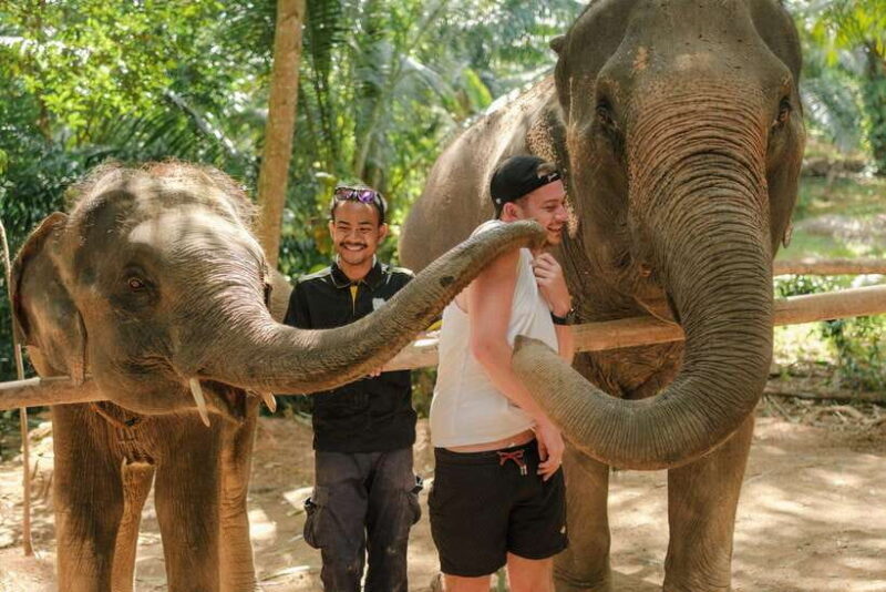 Krabi: Elephant Sanctuary (near Ao Nang) Visit - An Honest Look at the Elephant Sanctuary Near Ao Nang