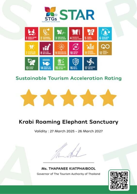 Krabi: Elephant Sanctuary Tour - Feeding & Painting Activity - Key Points