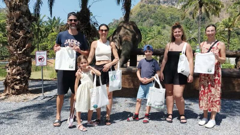 Krabi: Elephant Sanctuary Tour - Feeding & Painting Activity - An Honest Look at the Krabi Elephant Sanctuary Experience