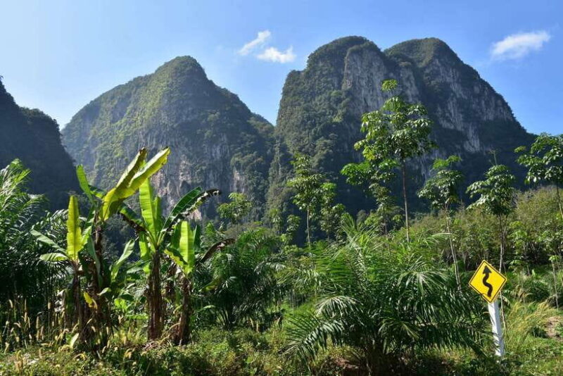 Krabi: Emerald Cool-Down & Kayak Odyssey in Din Daeng Canyon - Who Should Consider This Tour?
