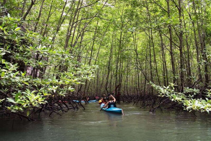 Krabi: Emerald Cool-Down & Kayak Odyssey in Din Daeng Canyon - Summary