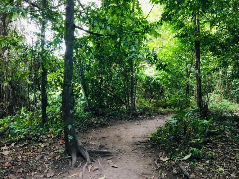 Krabi: Emerald Pool and Hot Springs Waterfall Half-Day Trip - What to Expect from the Tour