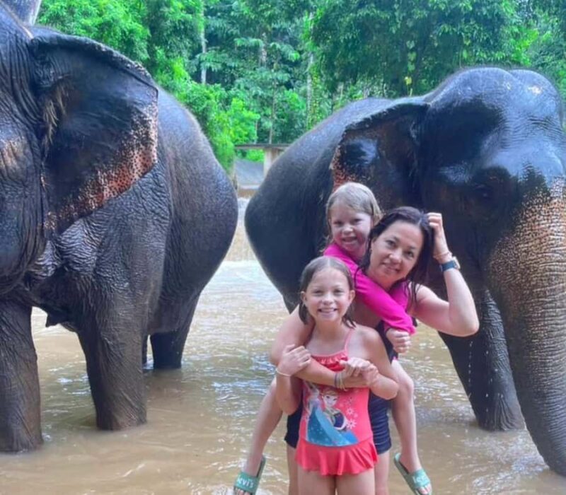 Krabi: Ethical Elephant Care Experience with Hotel Transfer - Authentic Feedback from Travelers