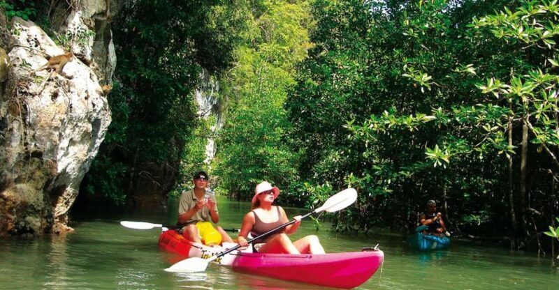 Krabi: Guided Kayaking Tour at Ao Thalane - Exploring Krabi by Kayak: What to Expect