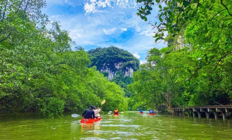 Krabi: Half-Day Bor Thor Mangrove Kayaking Tour - Who Would Love This Tour