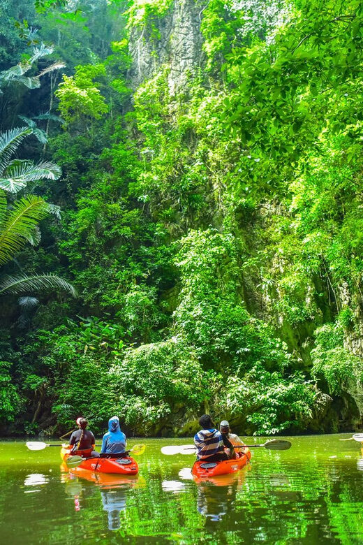 Krabi: Half-Day Bor Thor Mangrove Kayaking Tour - The Sum Up