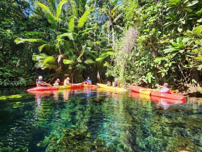 Krabi: Half Day Kayaking Adventure at Khlong Rood - An Honest Look at the Khlong Rood Kayaking Tour