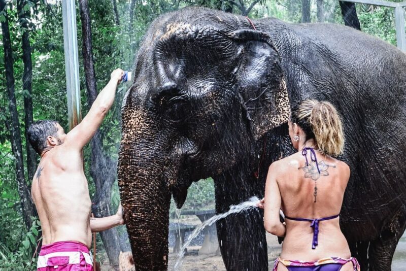 Krabi: Highlights Tour with Krabi Elephant Shelter - Introduction to the Krabi Elephant Shelter Tour