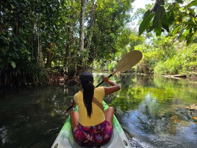 Krabi: Historic Bor Thor Caves Kayaking Tour with Lunch - Who Should Consider This Tour?