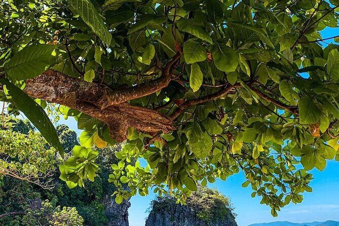 Krabi Hong Island Tour by Speedboat: Lagoon & Viewpoint - Final Thoughts: Is it Worth It?