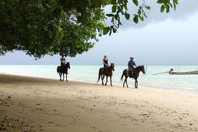 Krabi Horse Riding at The Beach - The Itinerary in Depth