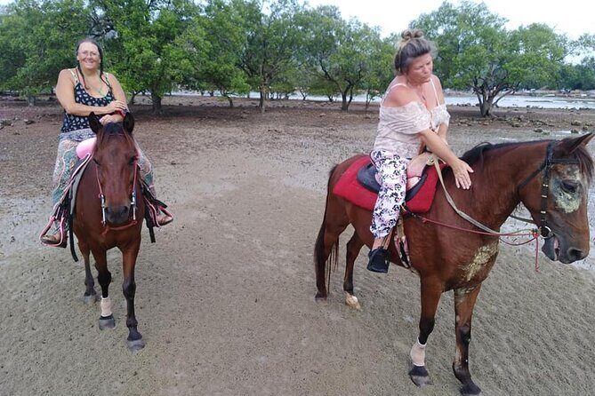 Krabi Horse Riding at The Beach - The Authenticity and Value of Krabi Horse Riding