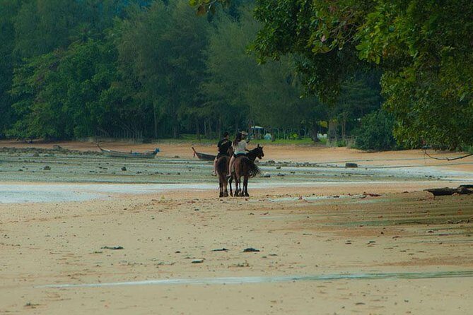 Krabi Horse Riding at The Beach - Who Will Love This Tour?