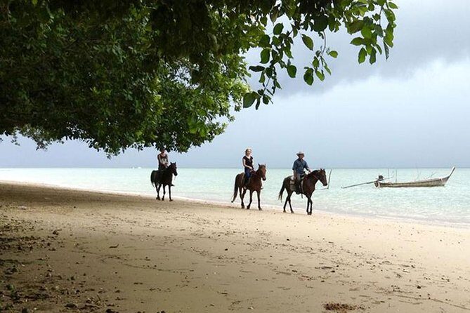 Krabi Horse Riding at The Beach - Final Thoughts