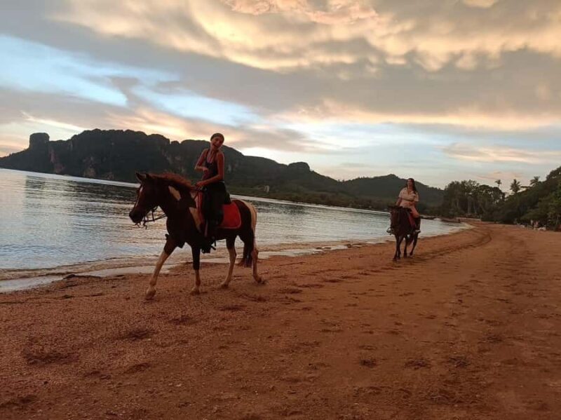 Krabi Horse Riding on the Beach and atv Extreme - What This Tour Offers: An In-Depth Look