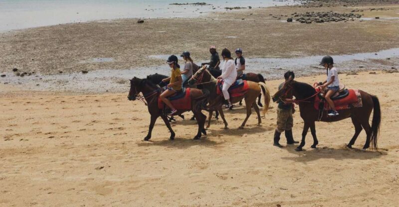Krabi: Horseback Riding on the Beach - FAQ