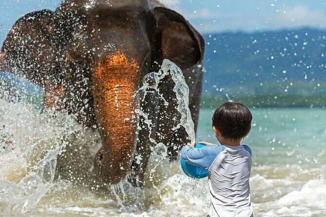 Krabi Immersive Elephant Sanctuary Experience - Who should consider this tour?