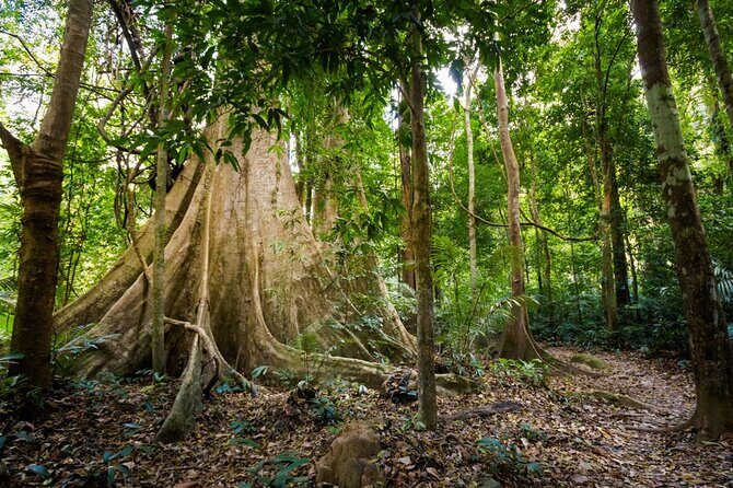 Krabi Jungle Adventure: Emerald Pool, Hot Springs & ATV - The ATV Experience