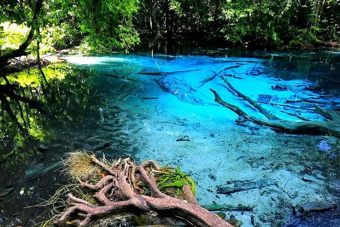 Krabi Jungle Tour with ATV Riding - What You’ll Love and What to Consider