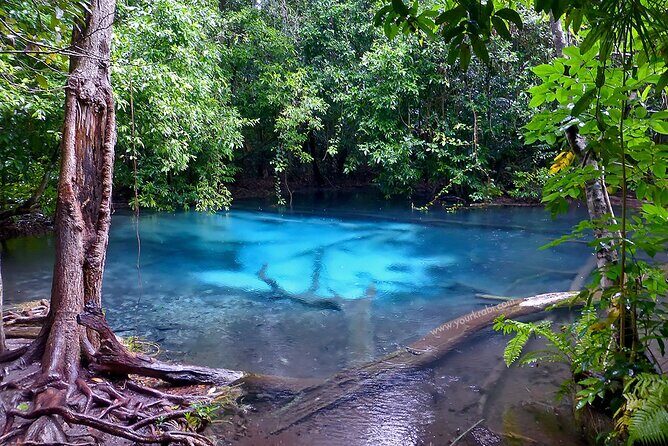 Krabi Jungle Tour:Hot Spring Waterfall,Emerald Pool & Tiger Cave - A Detailed Look at the Krabi Jungle Tour Experience