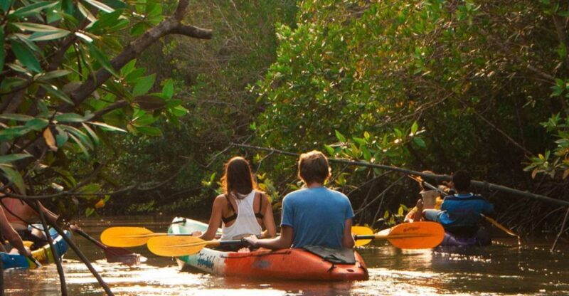 Krabi: Kayaking Ao Thalane and Khaothong Hill Café - The Sum Up