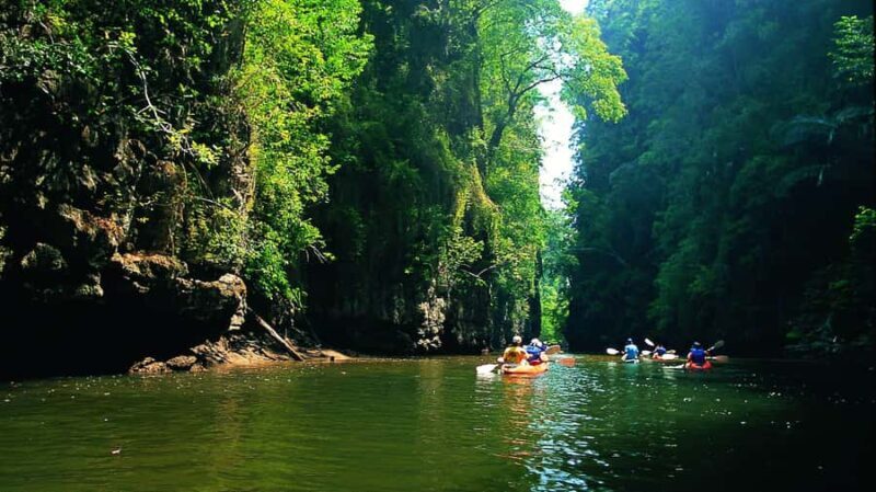 Krabi: Kayaking in Ao Thalane Bay Beautiful Mangrove Forest - A Practical Look at the Experience