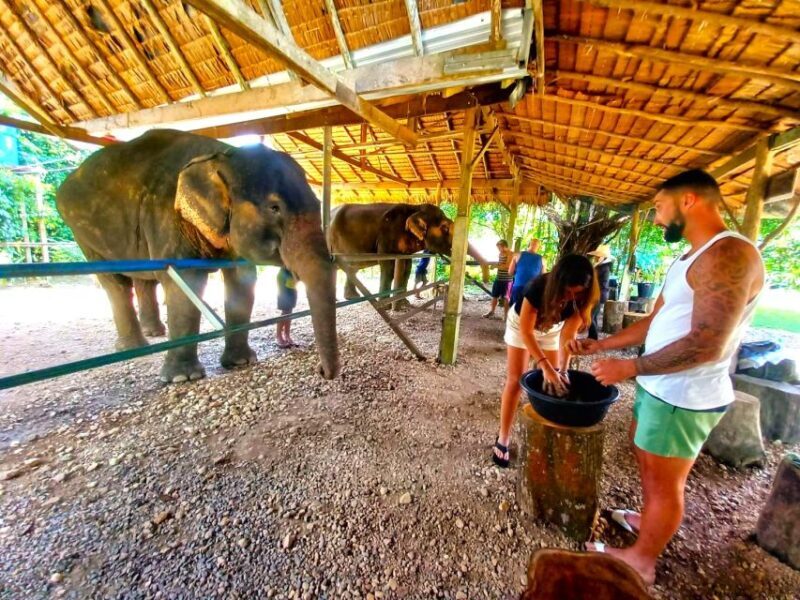 Krabi: Khao Sok Elephant Rescue Center & Bamboo Raft Paddle - Summing Up: Who Will Love This Tour?