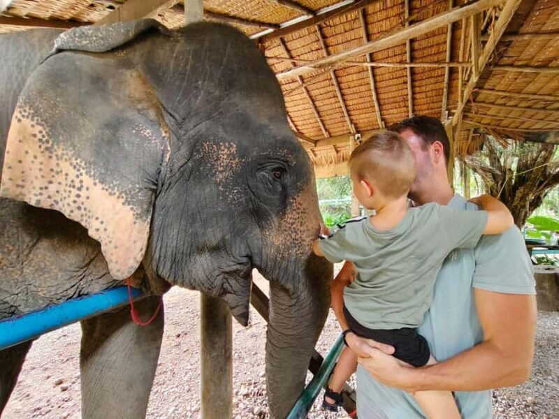 Krabi: Khao Sok Elephant Rescue Center & Bamboo Raft Paddle - Frequently Asked Questions (FAQ)