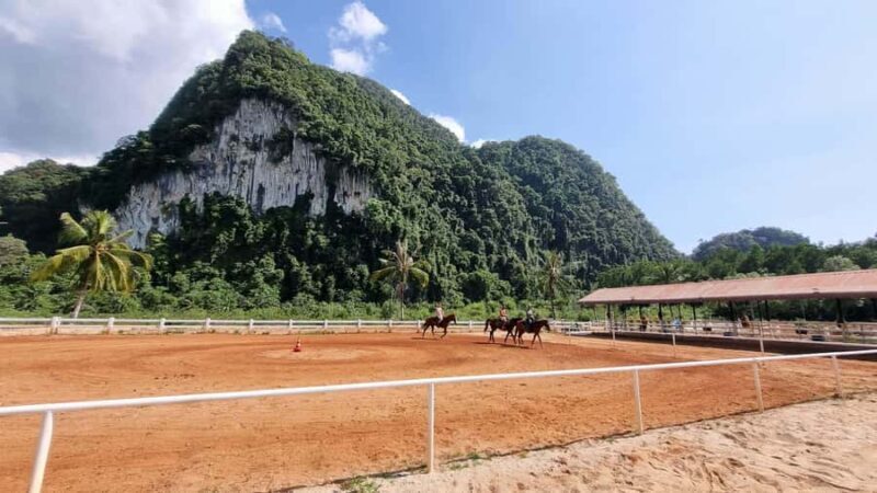 Krabi: Khao Thong Trail Horseback Riding Adventure - Who Will Enjoy This Tour?
