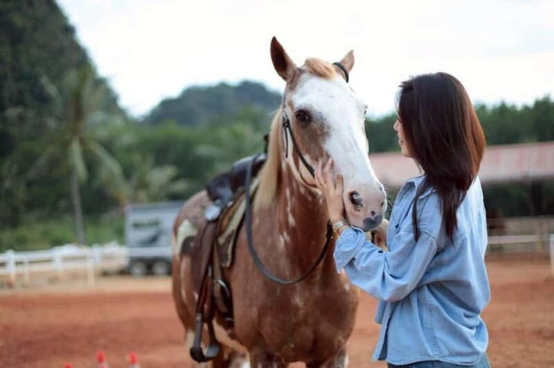 Krabi: Khao Thong Trail Horseback Riding Adventure - FAQ