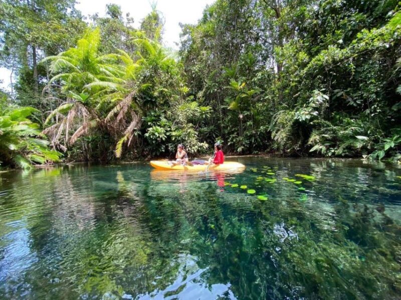 Krabi: Khlong Nam Sai Lagoon with Kayaking & Optional ATV - A Detailed Look at the Tour