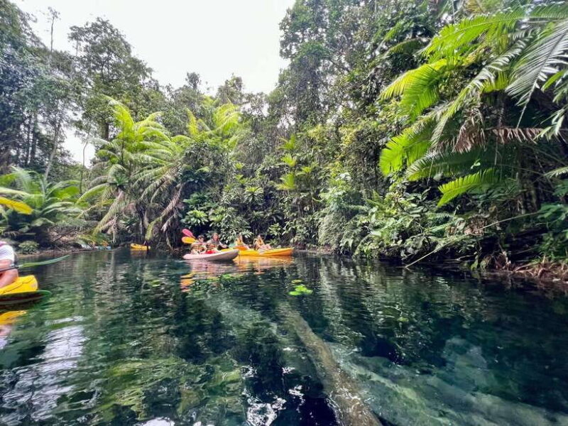 Krabi: Klong Root (Crystal lake) Kayaking tour - Key Points