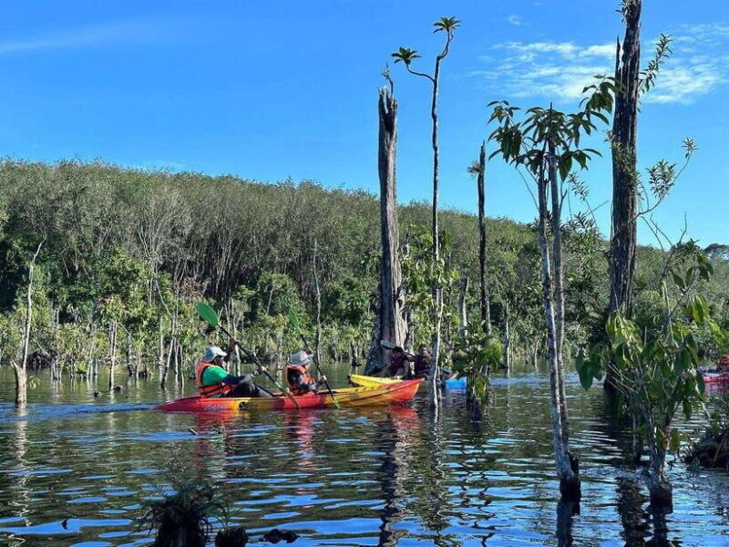 Krabi: Klong Root (Crystal lake) Kayaking tour - An Authentic Krabi Experience on the Water