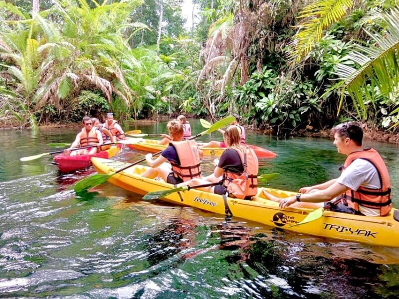 Krabi: Klong Root (Crystal lake) Kayaking tour - The Sum Up
