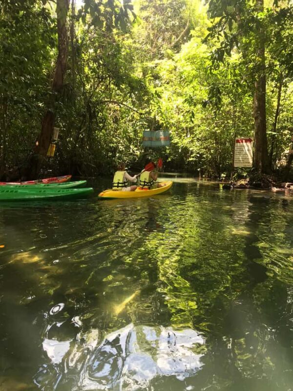 Krabi: Klong Sa Kaew (Hidden gem) Kayaking and Swimming Tour - Key Points