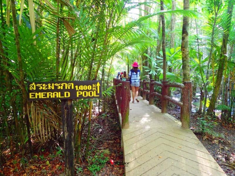 Krabi: Klongtom Hot Spring, Emerald Pool and Tiger Cave Tour - Who This Tour Is Perfect For