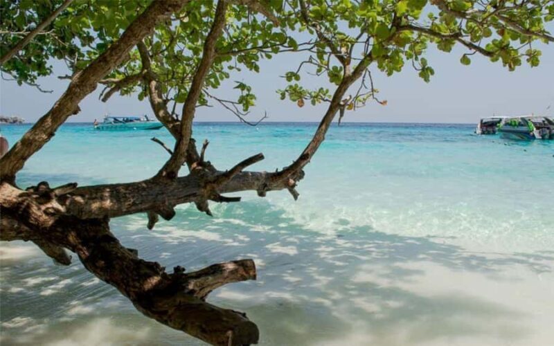 Krabi: Lazy Similan Islands Tour by Speedboat & Buffet Lunch - Key Points