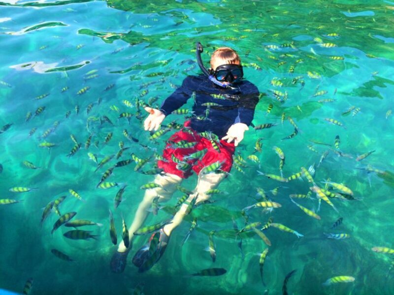 Krabi: Long-Tail Boat Tour of 4 Islands with Picnic - FAQs