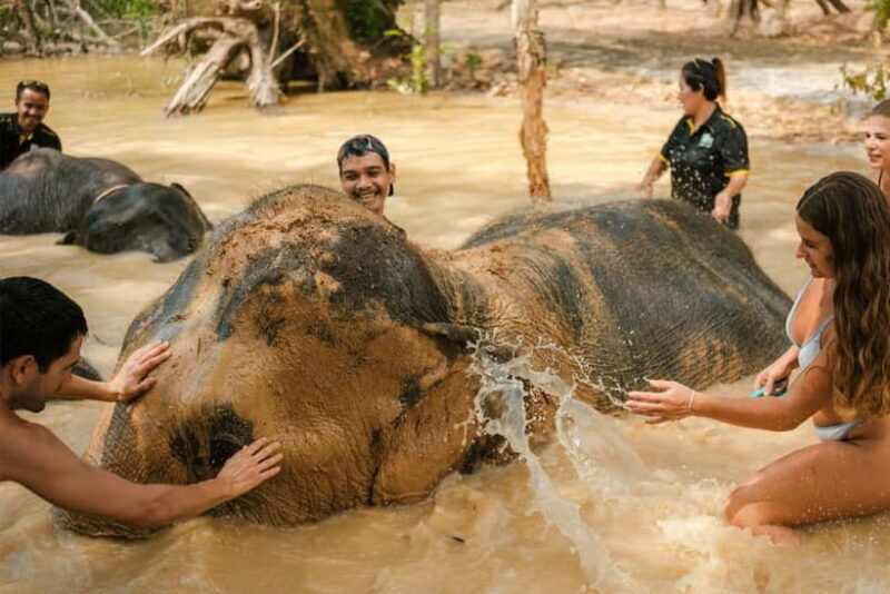 Krabi: Love Elephant Sanctuary Tour - Key Points