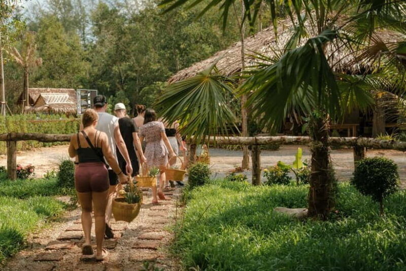 Krabi: Love Elephant Sanctuary Tour - Ethical considerations and limitations