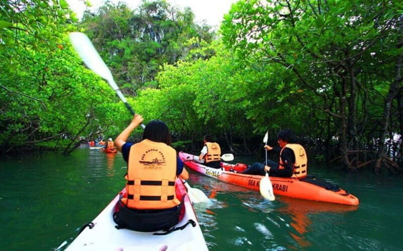 Krabi: Mangrove Kayak Adventure in Boh Tor, Ao Luek - An Honest Look at the Experience