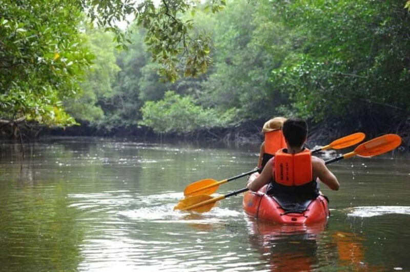 Krabi: Mangrove Kayak Adventure in Boh Tor, Ao Luek - FAQ
