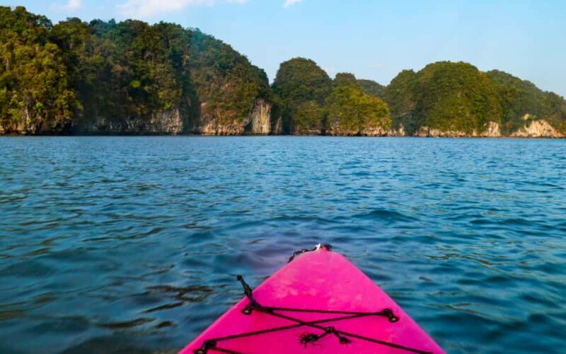 Krabi Mangrove Kayak &Elephant Shelter with Private Transfer - Deep Dive: Why This Tour Stands Out