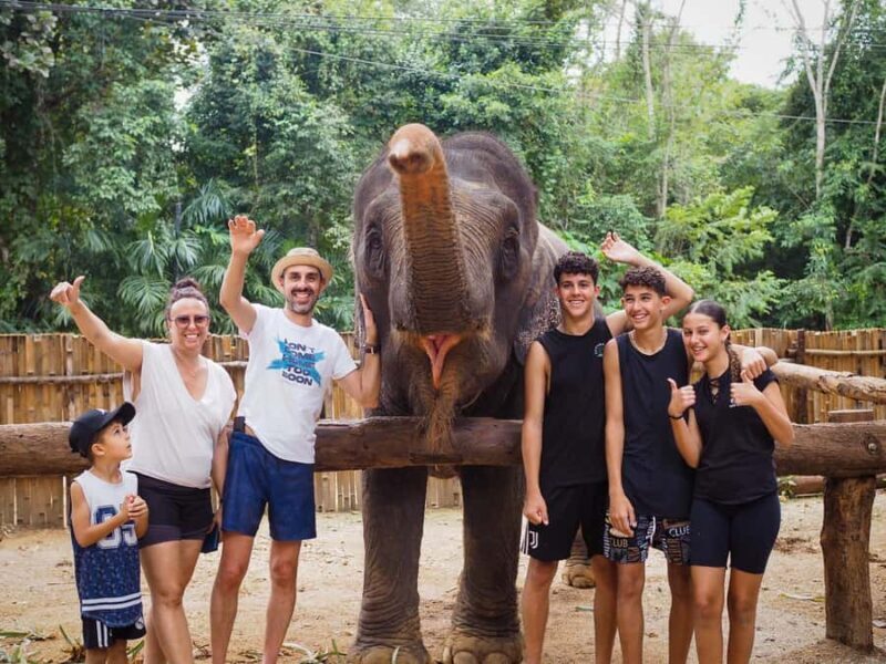 Krabi Mangrove Kayak &Elephant Shelter with Private Transfer - Detailed Itinerary Breakdown