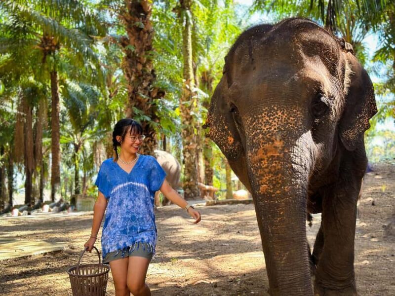 Krabi Mangrove Kayak &Elephant Shelter with Private Transfer - Why This Tour is Worth Considering