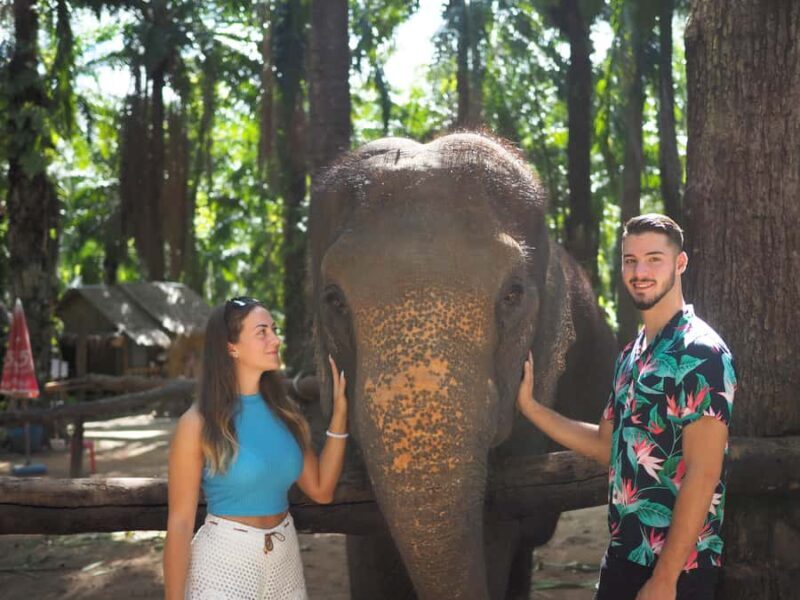 Krabi Mangrove Kayak &Elephant Shelter with Private Transfer - Final Thoughts: Is It Worth Your Time?