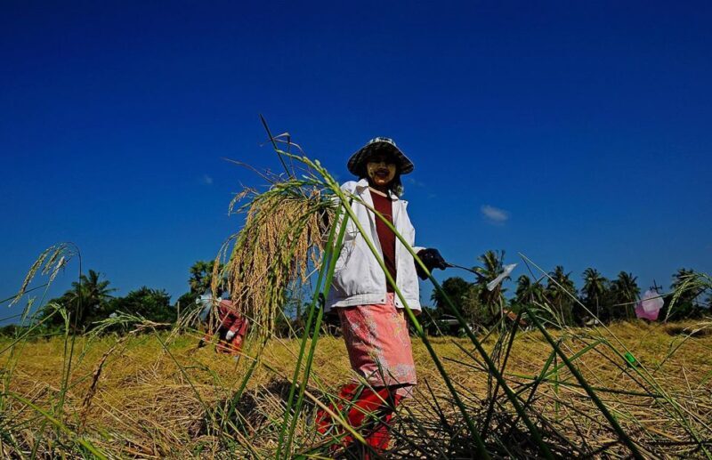 Krabi: Mangrove Magic & Koh Klang Charm by Longtail Boat - FAQ
