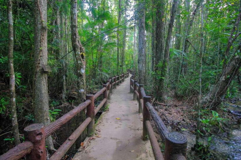 Krabi Outback Explorer to Emerald Pool & Wareerak Hotspring - Discover Krabi’s Hidden Natural Treasures with the Outback Explorer Tour