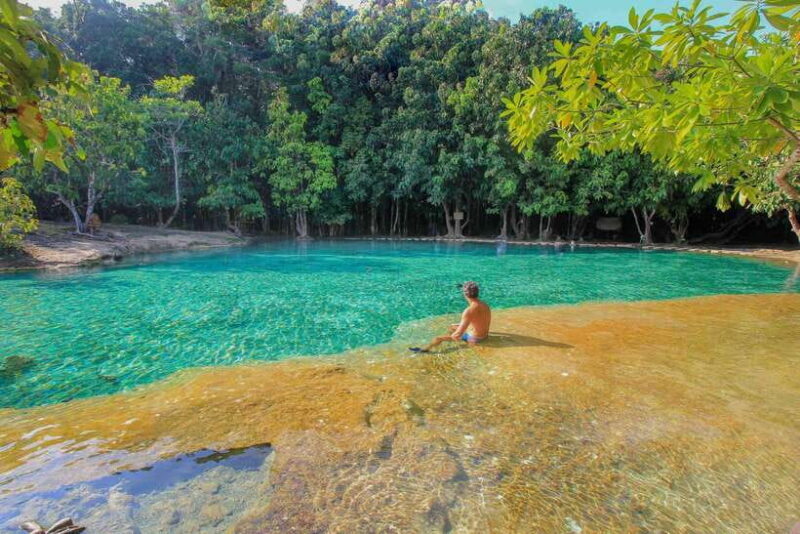 Krabi Outback Explorer to Emerald Pool & Wareerak Hotspring - The Quality and Value of This Tour